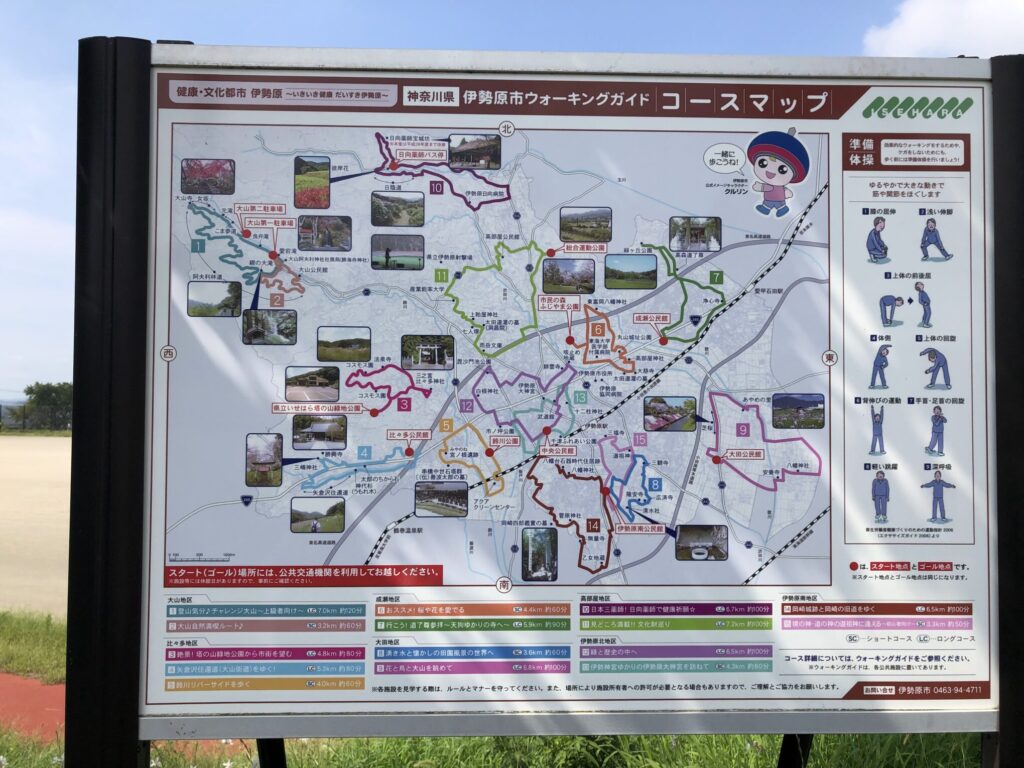 自然あふれる景色が最高！大人も子どもも楽しい公園『伊勢原市総合運動公園』 | 地元をもっと知る！地域の情報ポータルサイト・JIMOTTO（ジモット）