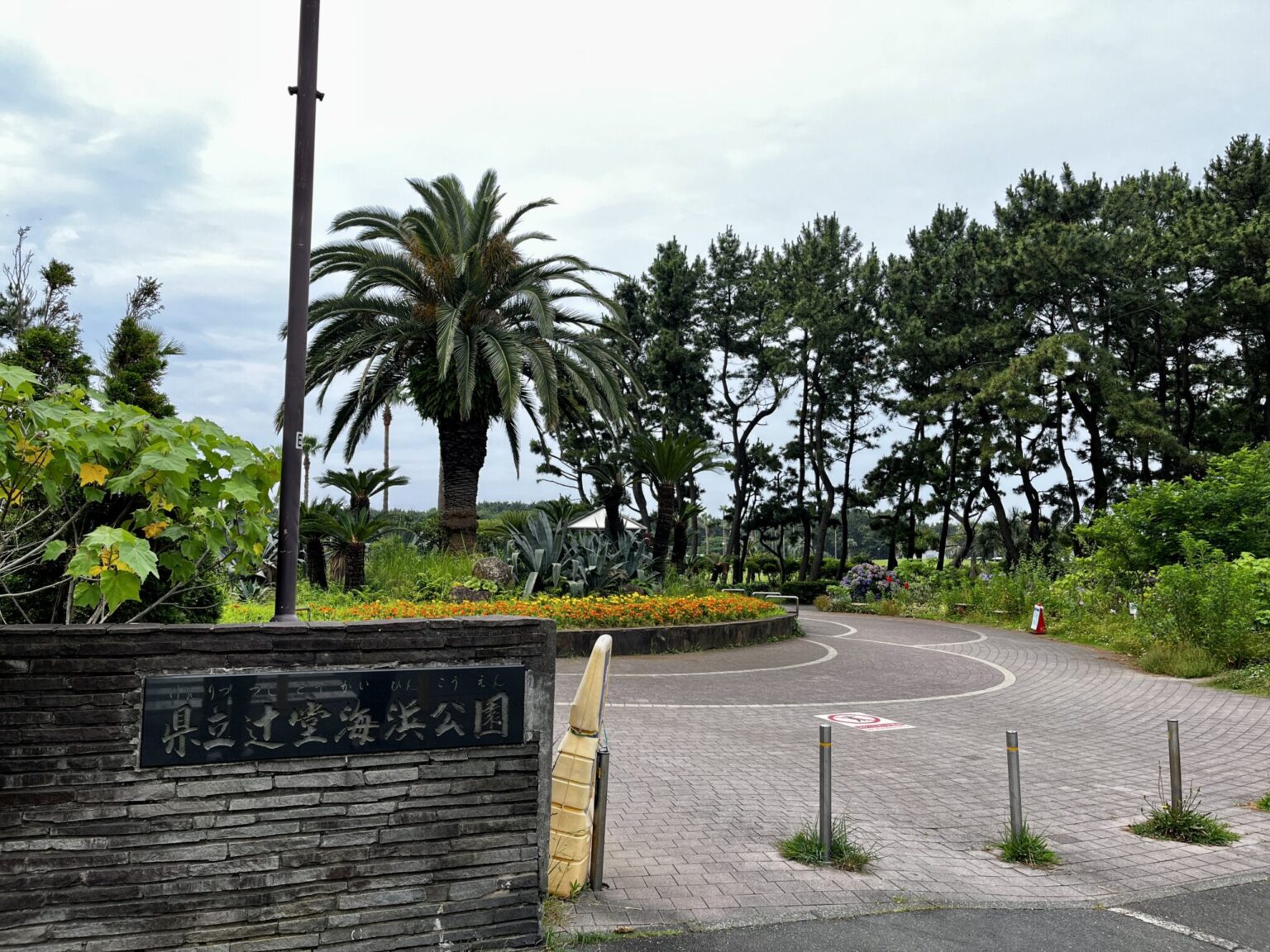 海風に癒される、何度でも訪れたい広～い公園！『県立辻堂海浜公園』 | 地元をもっと知る！地域の情報ポータルサイト・JIMOTTO（ジモット）