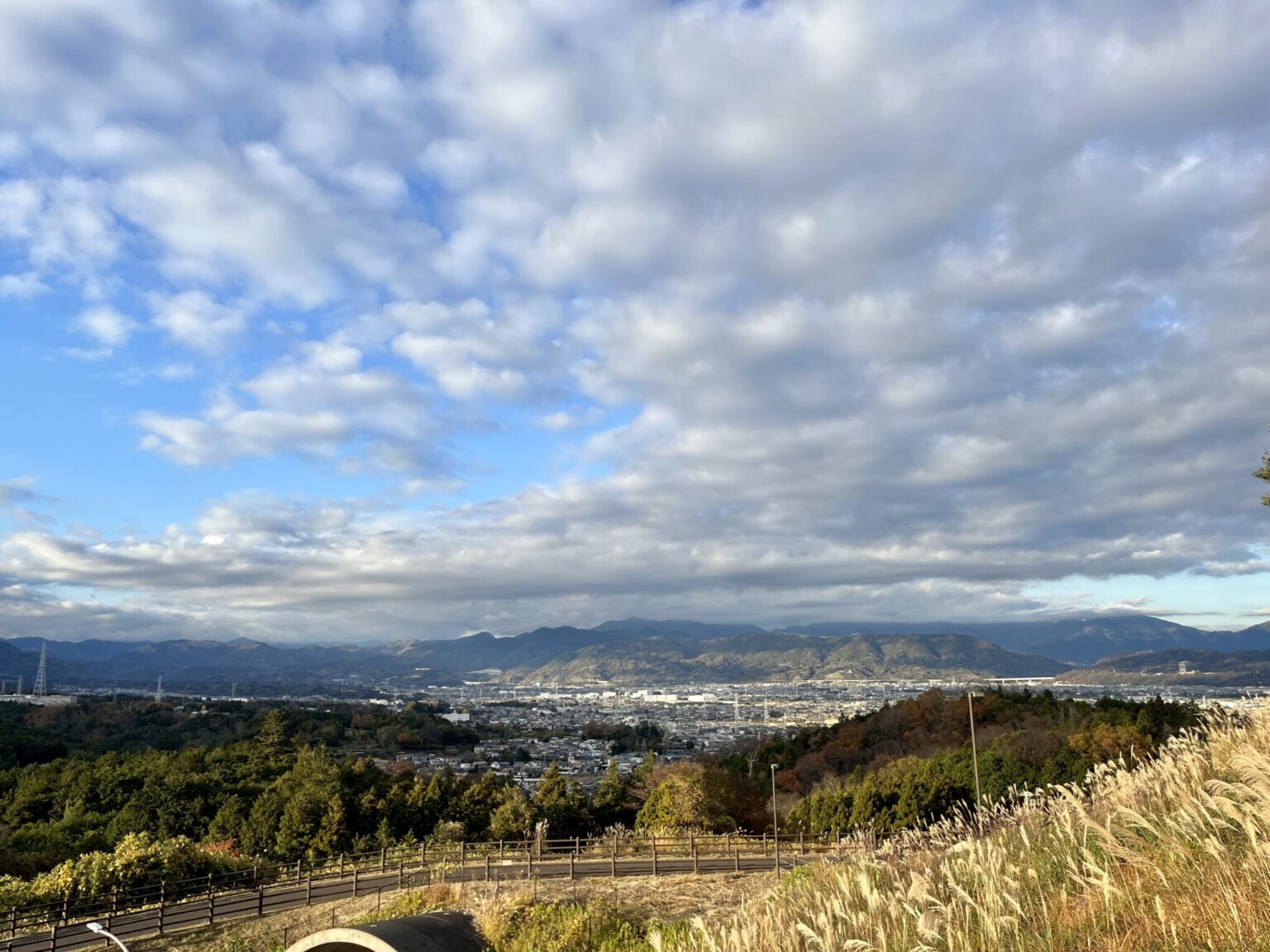 足柄平野を一望！里山の自然の中でたっぷり遊べる『県立おだわら諏訪の原公園』 | 地元をもっと知る！地域の情報ポータルサイト・JIMOTTO（ジモット）