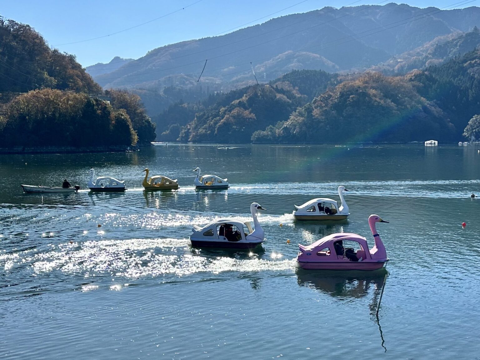 『第5回 足こぎスワン世界大会 in SAGAMIKO』に行ってきました♪ | 地元をもっと知る！地域の情報ポータルサイト・JIMOTTO（ジモット）
